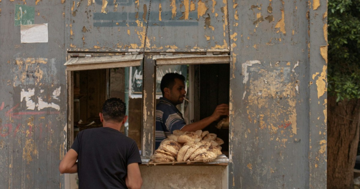 At 20% take-up, Egypt’s unified ration-card stalls in Port Said | Al ...